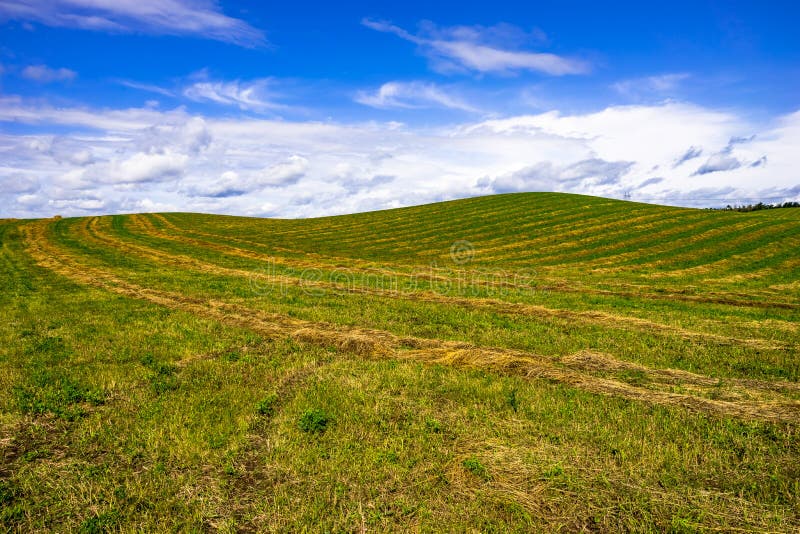Alberta Rural landscape stock photo. Image of countryside - 161643672