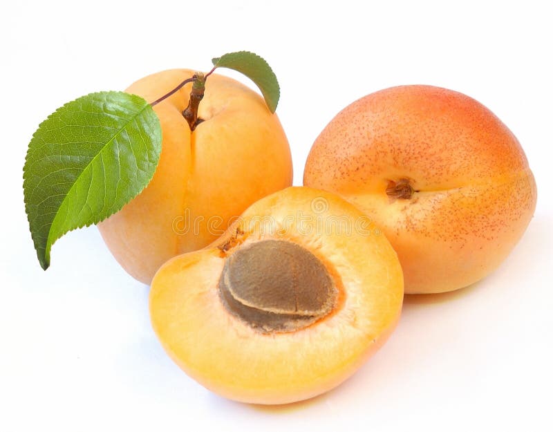 Albicocca fotografia stock. Immagine di albicocca, alimento - 14062486