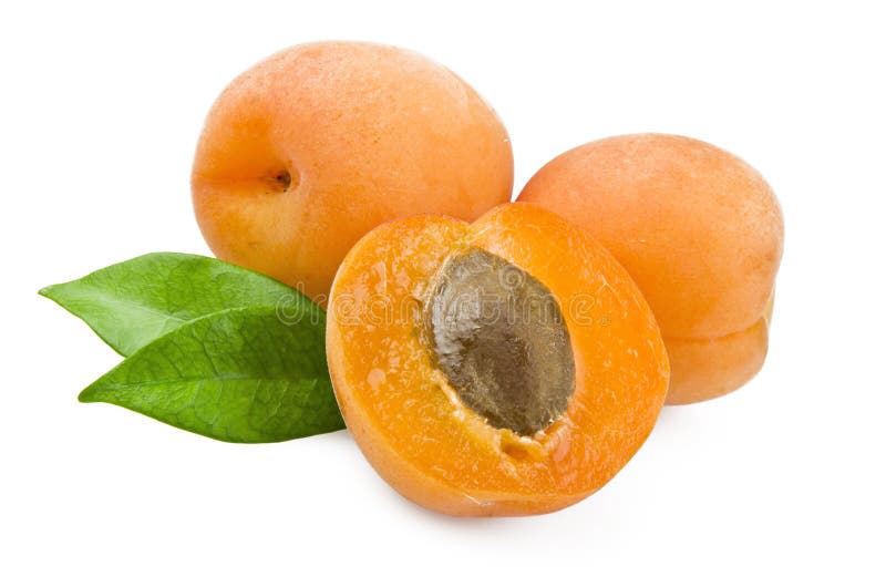 Albicocca immagine stock. Immagine di pasto, fragrante - 26896565