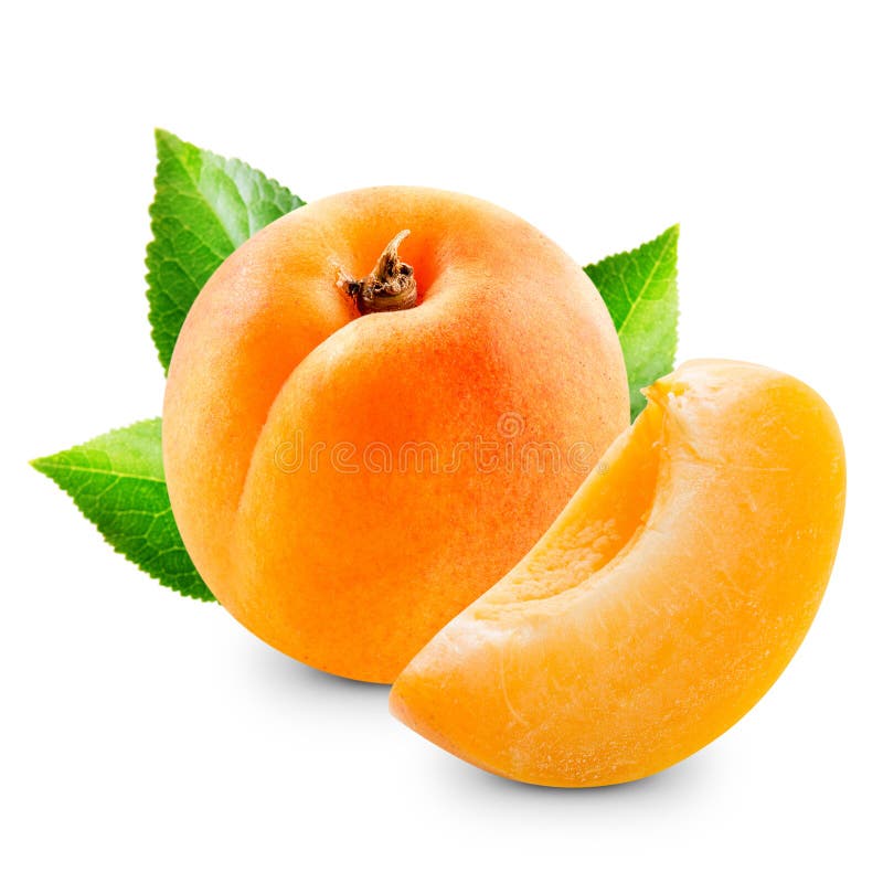 Albicocca immagine stock. Immagine di fragranza, salute - 21182755