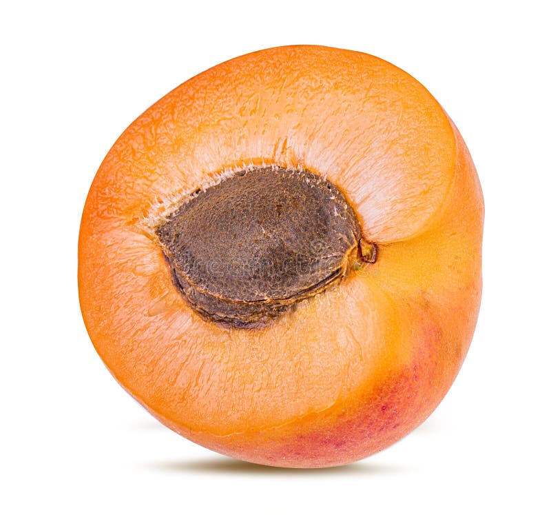 Albicocca Isolata Su Bianco Immagine Stock - Immagine di bianco, frutta ...