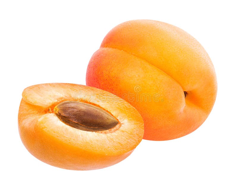 Albicocca Isolata Su Bianco Fotografia Stock - Immagine di fresco ...