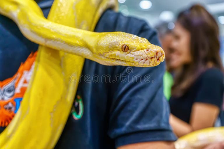 Man Snake Wrapped Around Stock Photos - Free & Royalty-Free Stock ...