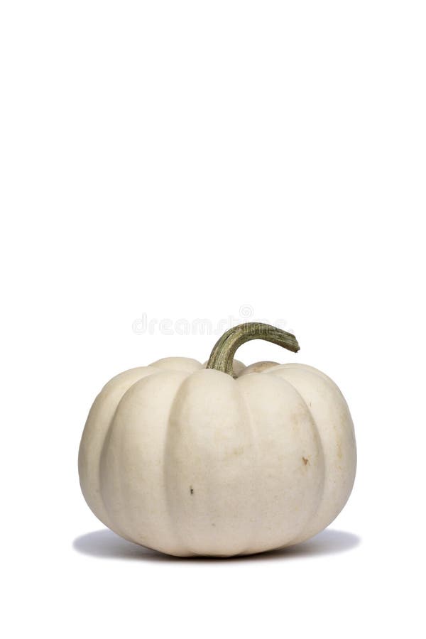 Mini Pumpkin With Greeting Tag On Wooden Table Stock Image - Image of ...