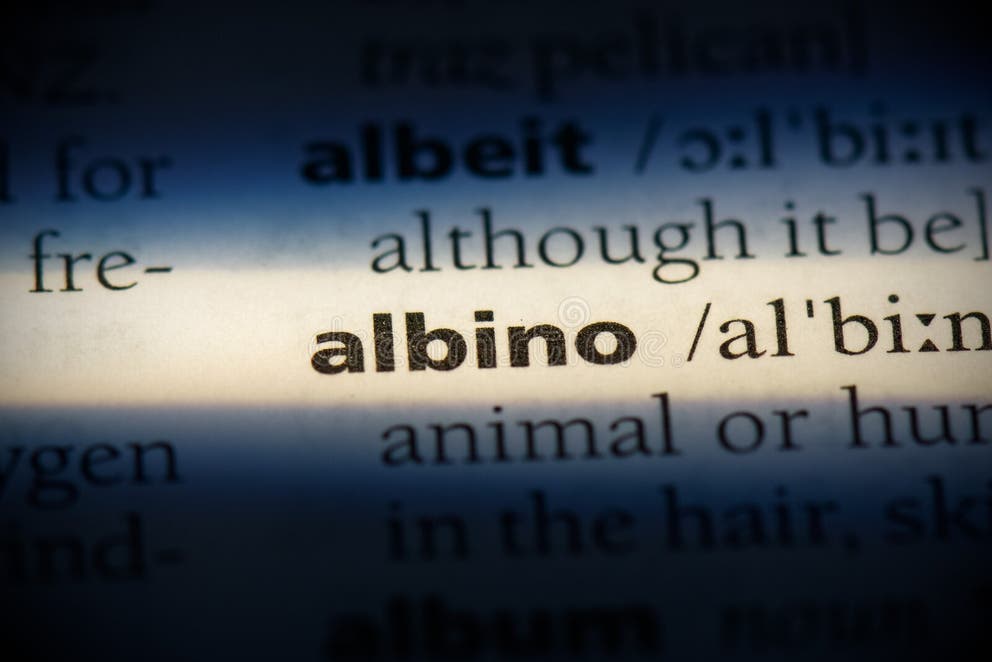 Albino stock image. Image of education, paper, focus - 161577797