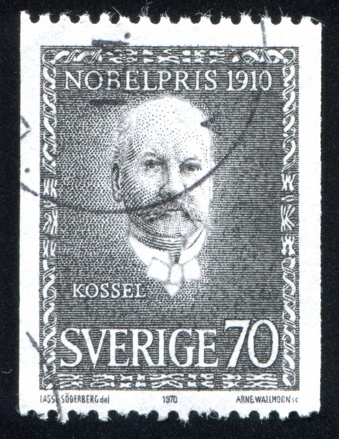 Albrecht Kossel imagen de archivo editorial. Imagen de franqueo - 96888964