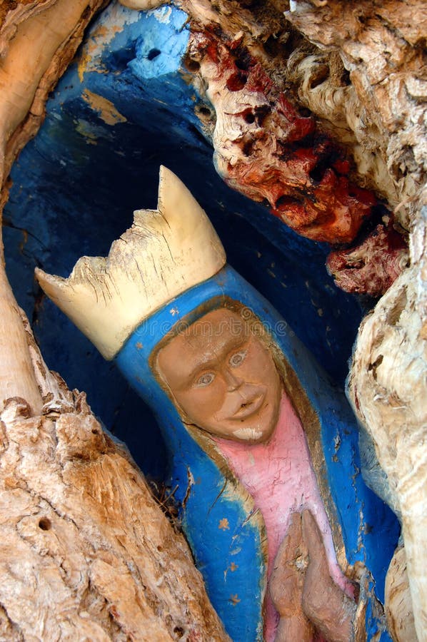 Albuquerque Miracle Tree stock photo. Image of dying - 20373970