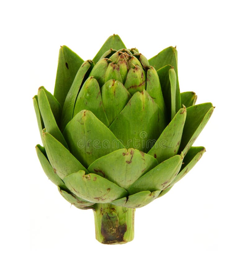 Alcachofa imagen de archivo. Imagen de calor, producto - 11949171