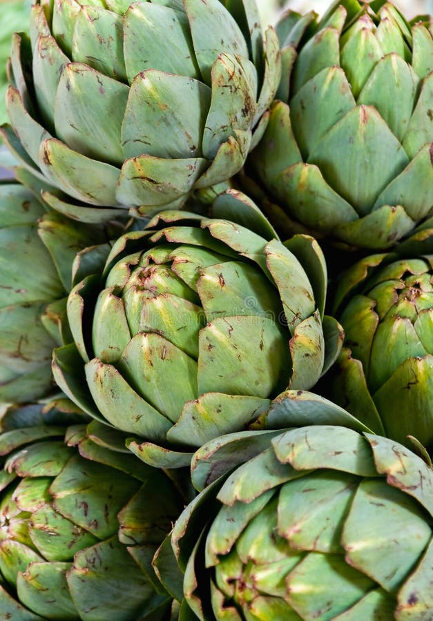 Alcachofa imagen de archivo. Imagen de frescura, cubo - 17692123