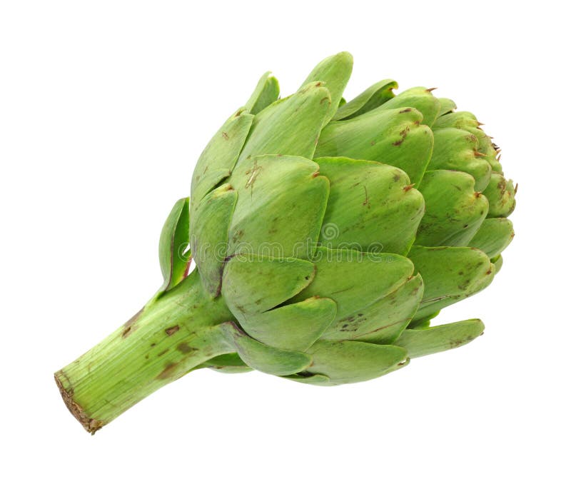 Alcachofa fresca foto de archivo. Imagen de crudo, comestible - 20083538