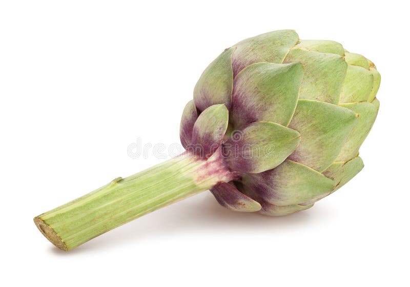 Alcachofa foto de archivo. Imagen de entero, verde, vivo - 188159940