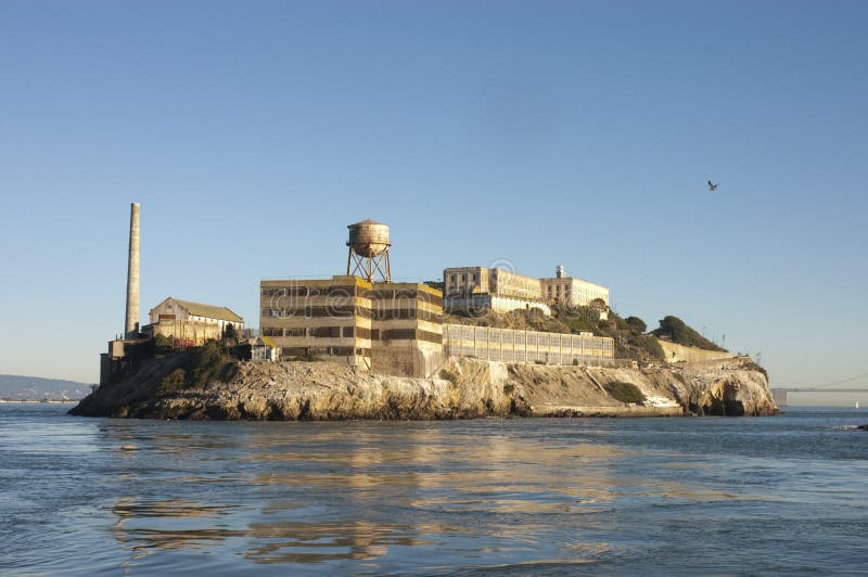 Alcatraz at sunset stock photo. Image of bird, francisco - 9845704