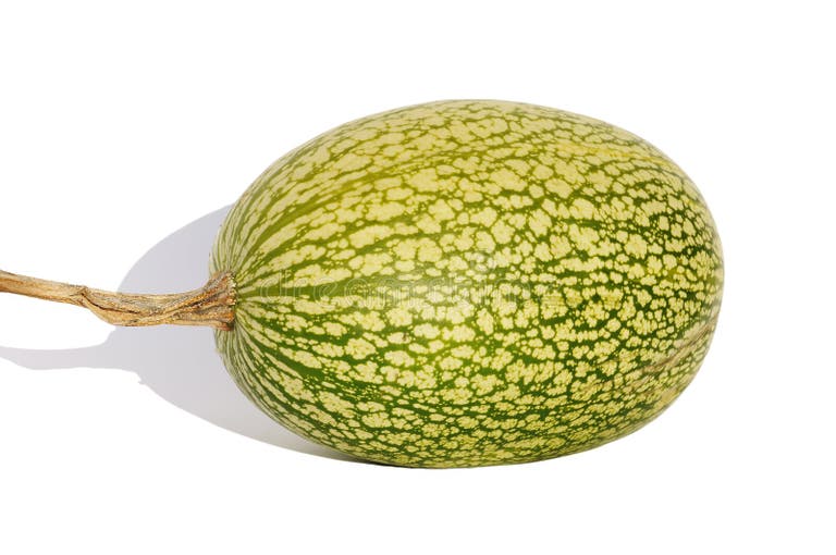 Alcayota da fruta imagem de stock. Imagem de flores, alimento - 20865633