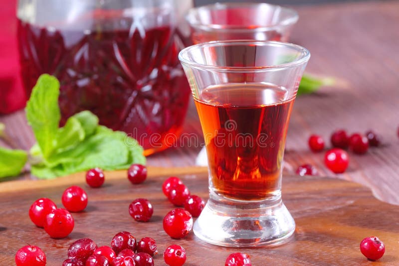 Alcohol cranberry drink stock photo. Image of xmas, delicious - 89181468