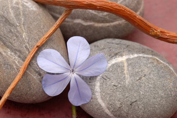 Alcohol del zen foto de archivo. Imagen de piedra, estudio - 3298742