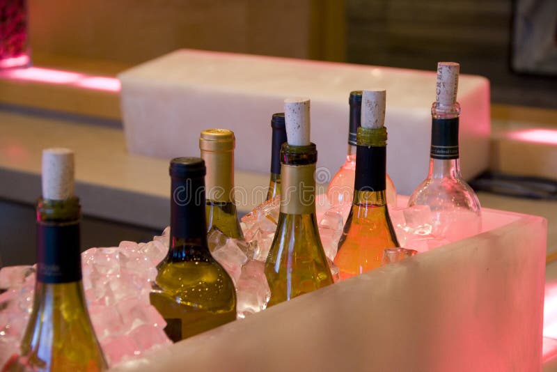 Alcohol Drinks Bottles in Ice in Bar Restaurant Stock Image - Image of ...