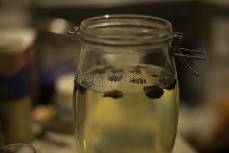 Alcohol in Jar. Alcoholic Infusion Stock Image - Image of fruit, bubble ...