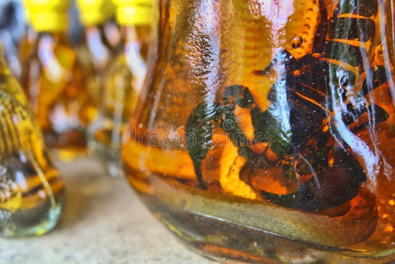 Alcohol of Scorpio and Snake Stock Image - Image of bottle, conphung ...