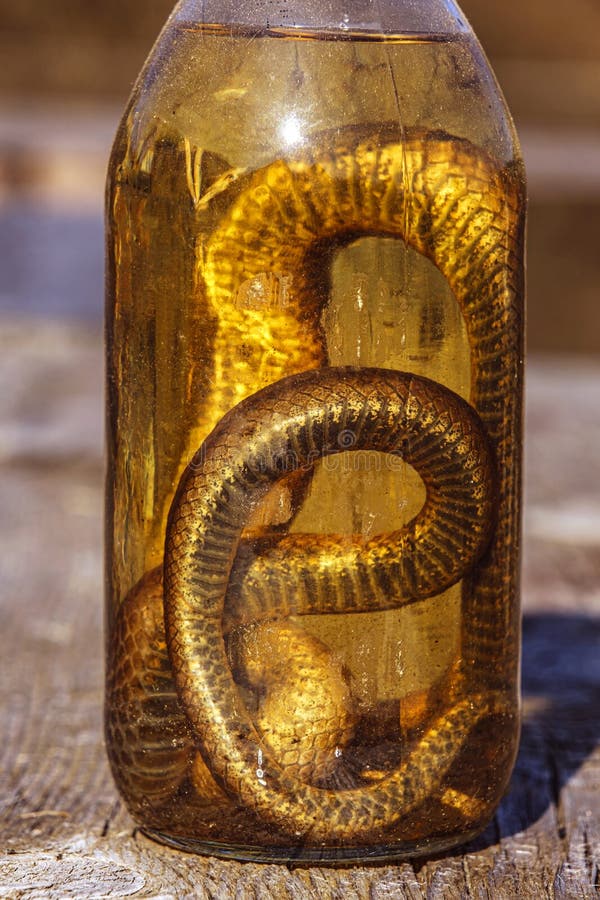Alcoholic Drink, Tincture Using a Snake Stock Image - Image of drink ...