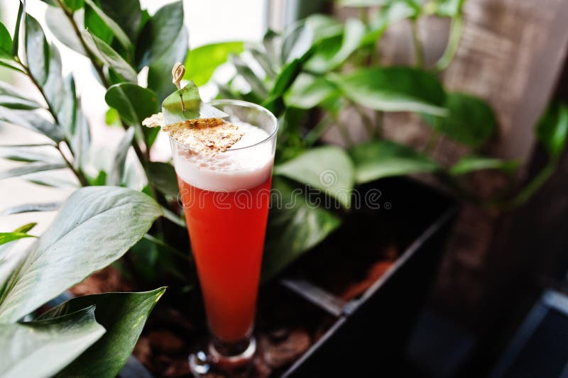 Alcoholic Long Cocktail in Glass at Bar Table. Stock Photo - Image of ...