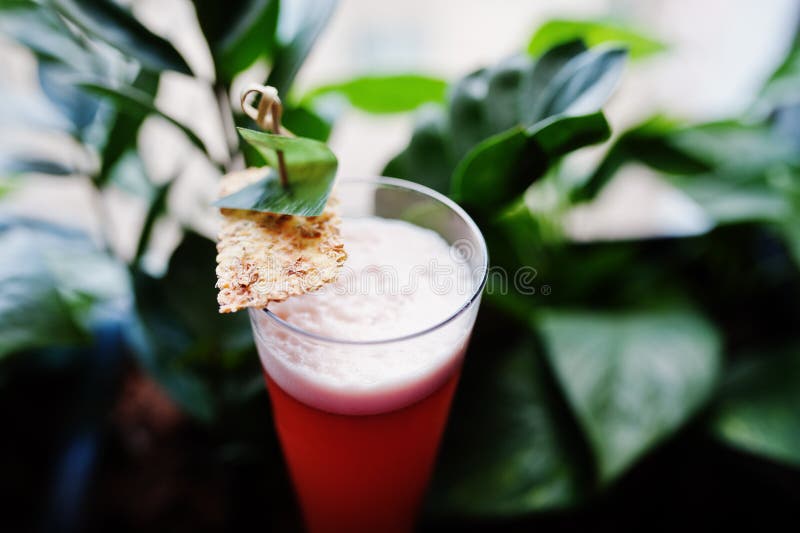 Alcoholic Long Cocktail in Glass at Bar Table. Stock Image - Image of ...
