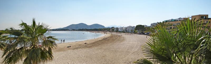 Alcudia Beach Panorama with Palms, Majorca Stock Image - Image of ...