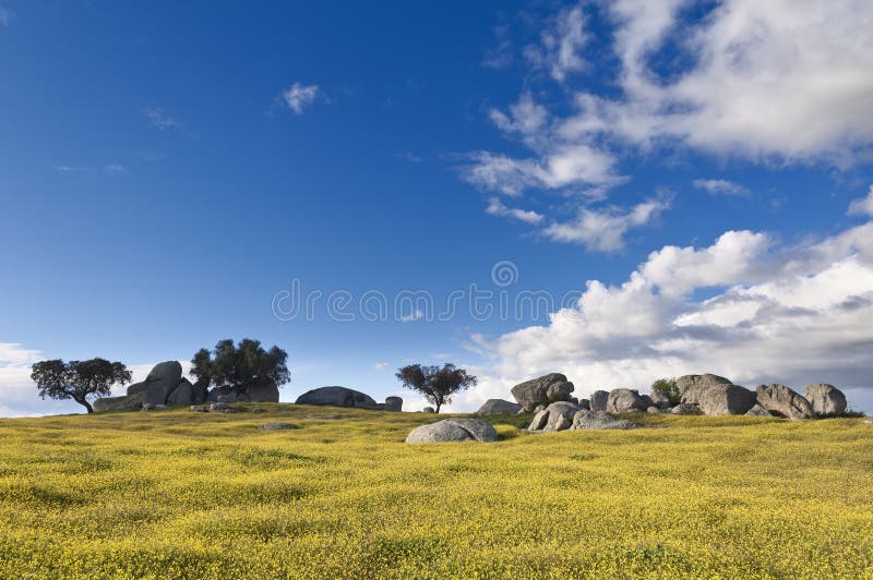 Alentejo landscape stock image. Image of green, spring - 29430315