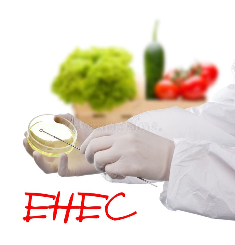 E. coli stock image. Image of infected, illness, care - 19700813