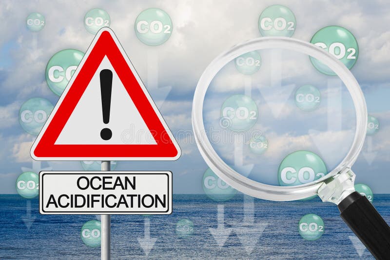 Alert Ocean Acidification - CO2 Carbon Dioxide Emissions are Absorbed ...