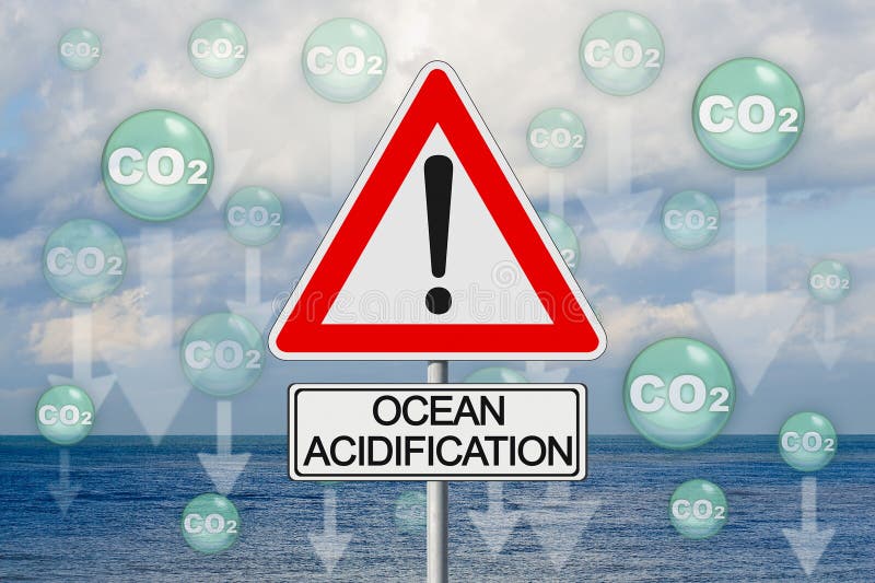 Alert Ocean Acidification - CO2 Carbon Dioxide Emissions are Absorbed ...