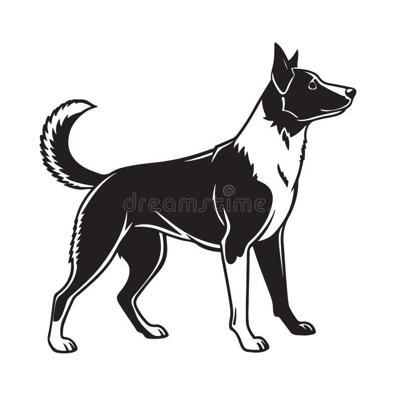 Alert Standing Dog in Black Silhouette Stock Vector - Illustration of ...