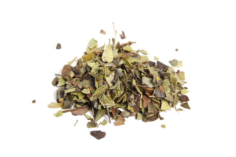 Frutas Do Senna De Tinnevelly, De Sennae Fructus Tinnevelly Foto de ...