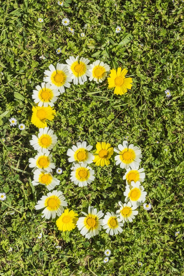 Alfabeto De La Flor De G De La Letra Imagen de archivo - Imagen de ...