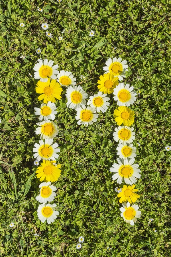 Alfabeto De La Flor De La Letra M Imagen de archivo - Imagen de macro ...