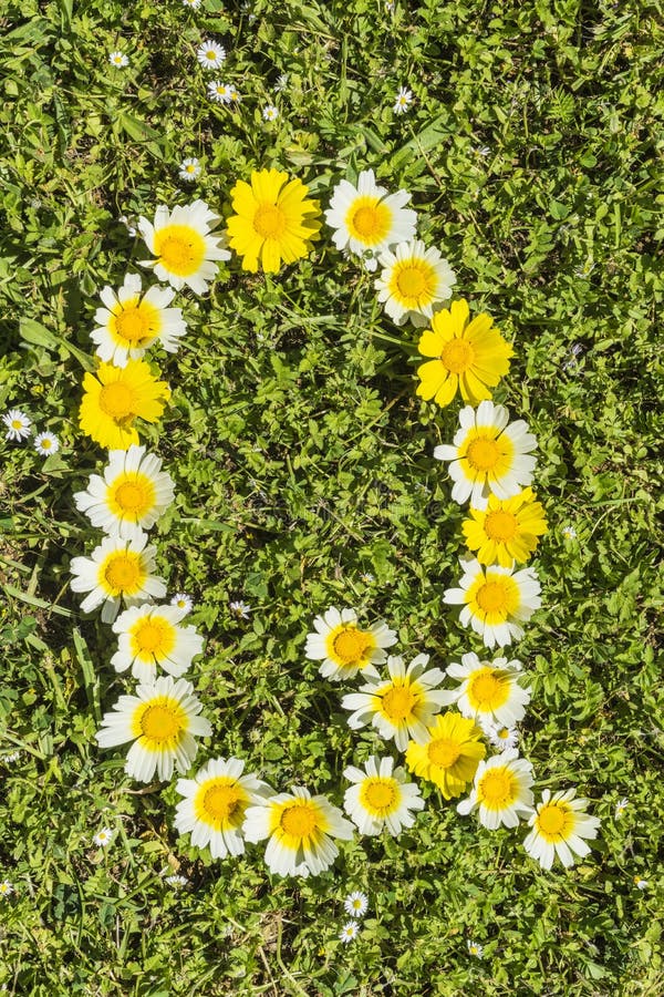 Alfabeto De La Flor De La Letra Q Foto de archivo - Imagen de saludo ...