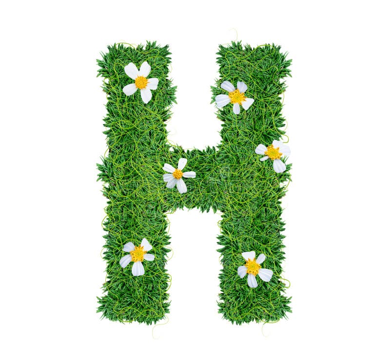 Alfabeto H Hierba Verde Decorada Con Flor Foto de archivo - Imagen de ...