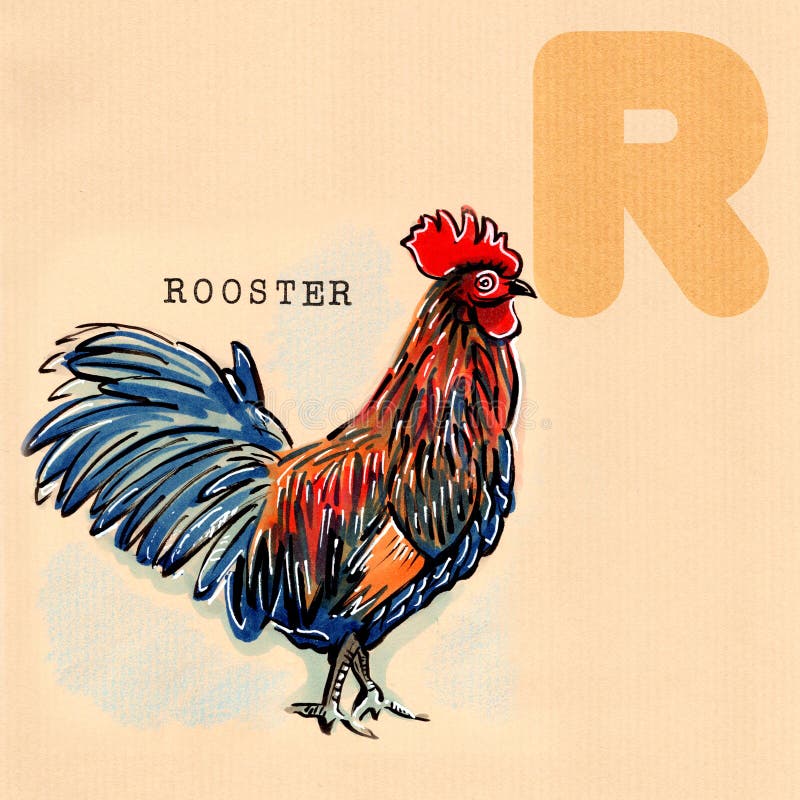 Alfabeto inglese, gallo illustrazione di stock. Illustrazione di podere ...