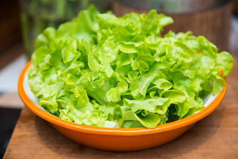 Prato De Alface Verde Para Comer Com Churrasco Foto de Stock - Imagem ...