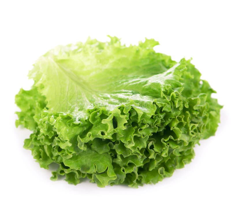 Folhas De Salada De Alface Verde Isoladas Em Branco Foto de Stock ...