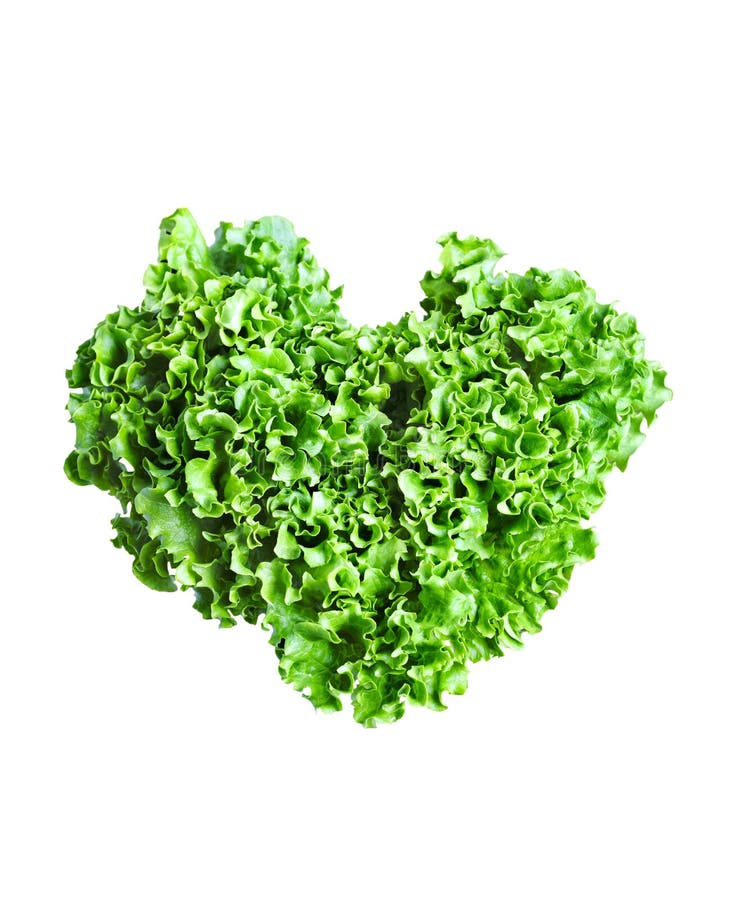 Alface Verde Isolada No Fundo Branco Imagem de Stock - Imagem de fresco ...