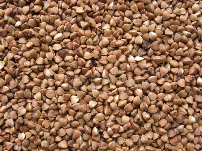 Alforfón foto de archivo. Imagen de grano, salvado, alimento - 20405406