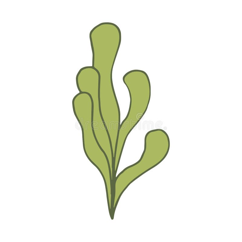 Alga marine green vector stock vector. Illustration of alga - 92132536