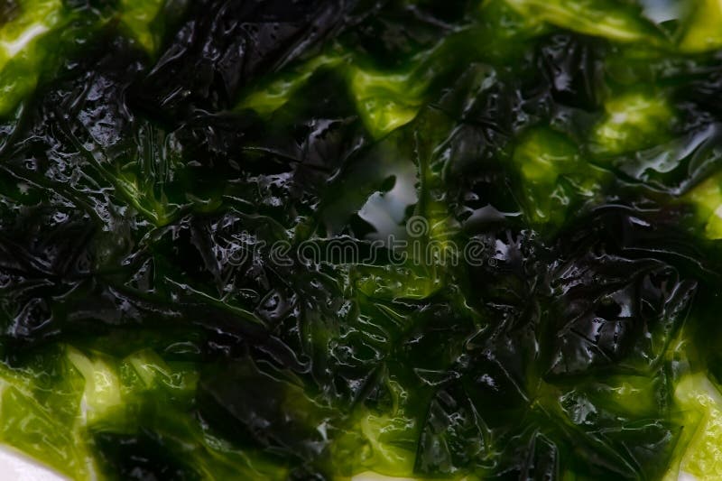 Alga verde foto de stock. Imagem de verde, cozinheiro - 38466906