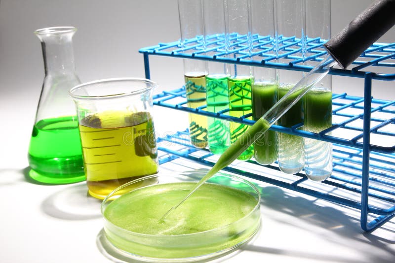 Algae biofuel research stock photo. Image of biotechnology - 36036498