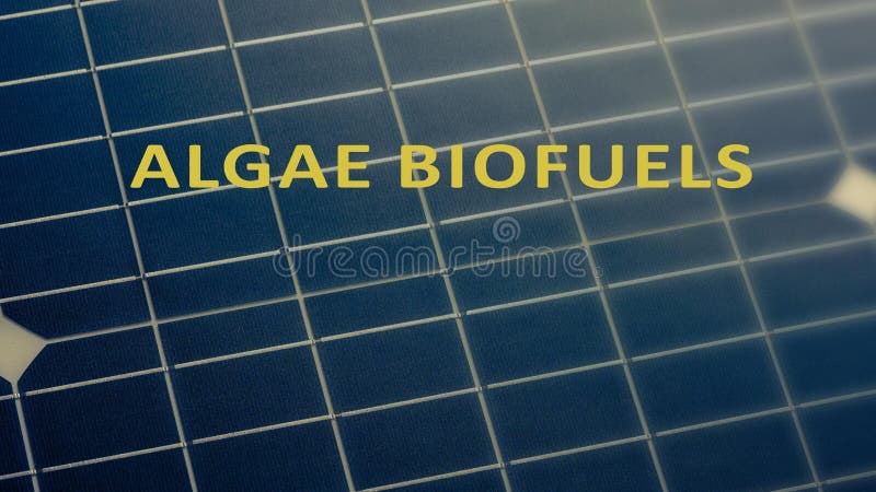 Algae Biofuels stock illustration. Illustration of converted - 349254781