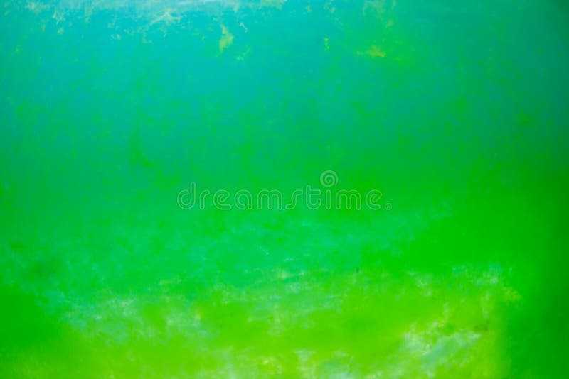 Algae bloom in the ocean stock image. Image of dangerous - 42297461