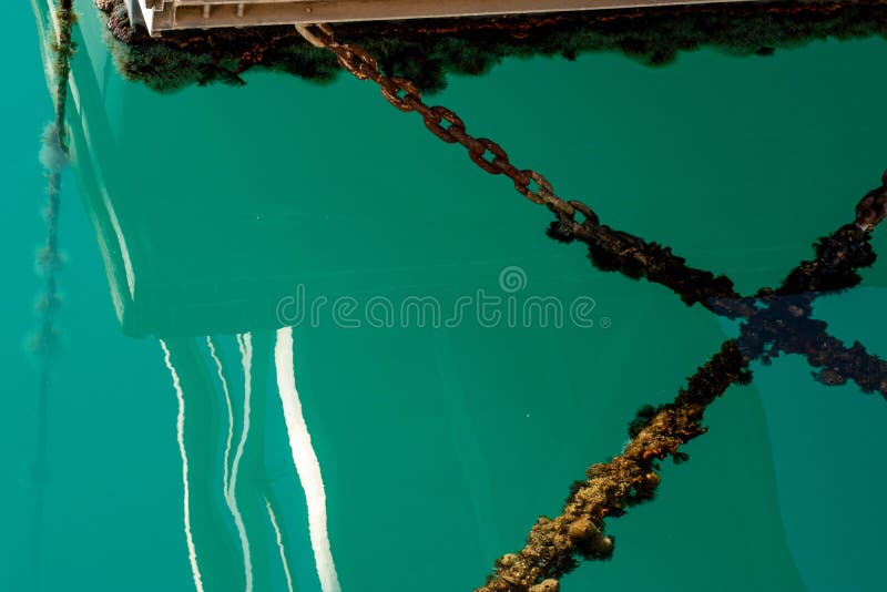 Algae Chain Under the Turquiose Sea Water Stock Photo - Image of ropes ...