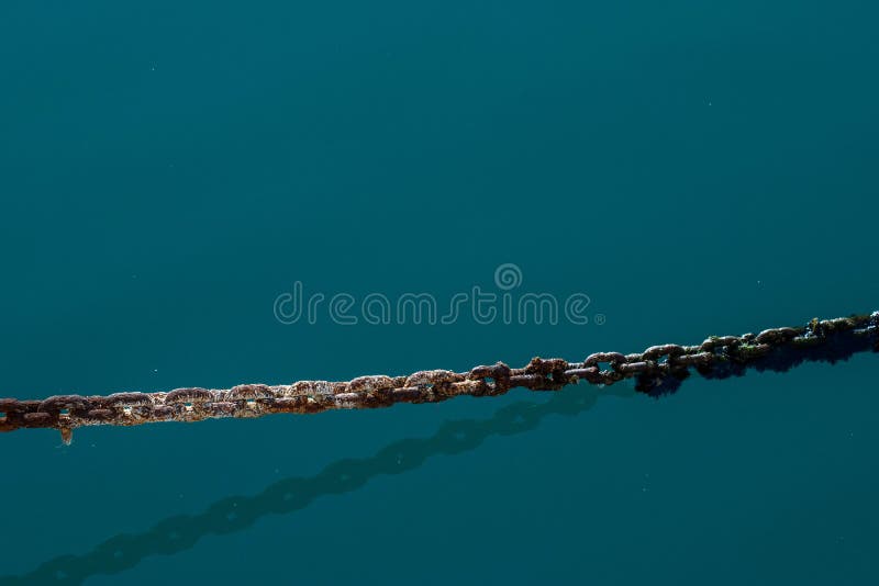 Algae Chain Under the Turquiose Sea Water Stock Photo - Image of ...