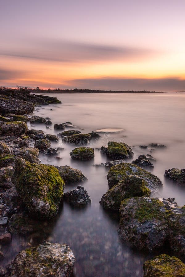 Algae Covered Rocks Getting Slowly Revealed As the Tide Goes Out during ...