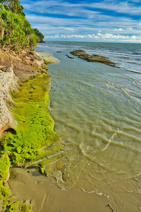 View from Rocky Beach, Miri. Stock Image - Image of chlorophyta, rough ...